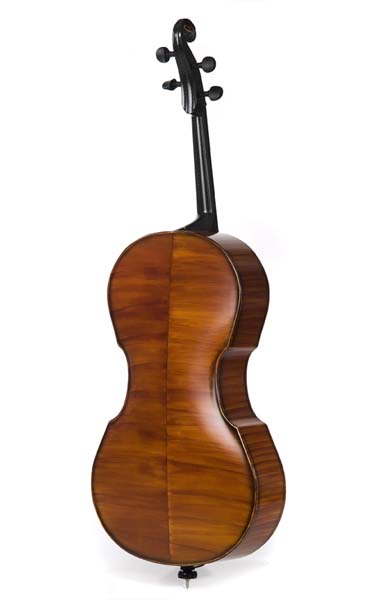 Ricci Carbon Cello - Details | Ricci Carbon Instruments