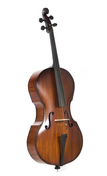 Ricci Carbon Cello - Details | Ricci Carbon Instruments