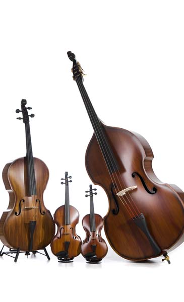 Ricci Carbon Viola - Details | Ricci Carbon Instruments