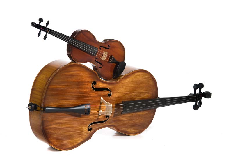 Ricci Carbon Cello - Details | Ricci Carbon Instruments
