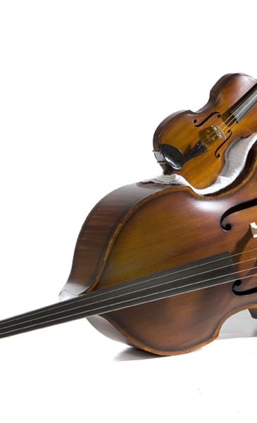 Ricci Carbon Viola - Details | Ricci Carbon Instruments