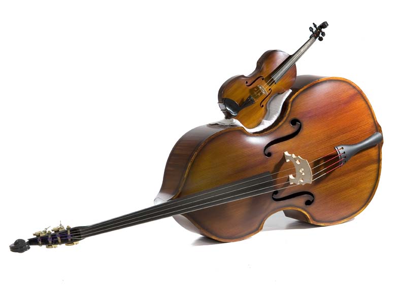 Ricci Carbon Viola - Details | Ricci Carbon Instruments