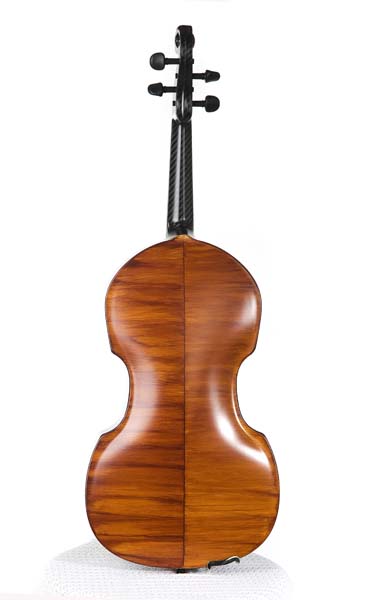 Ricci Carbon Viola - Details | Ricci Carbon Instruments